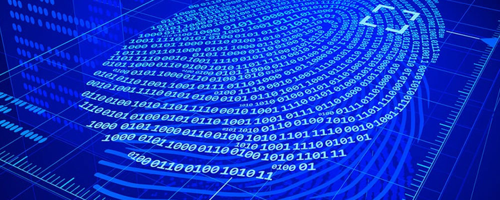 IT Solutions - Managed IT Services & Support